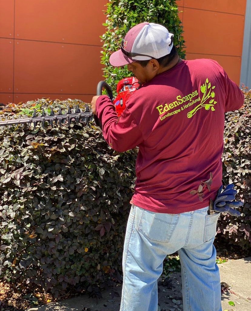 Horticultural Lawn Maintenance EdenScapes